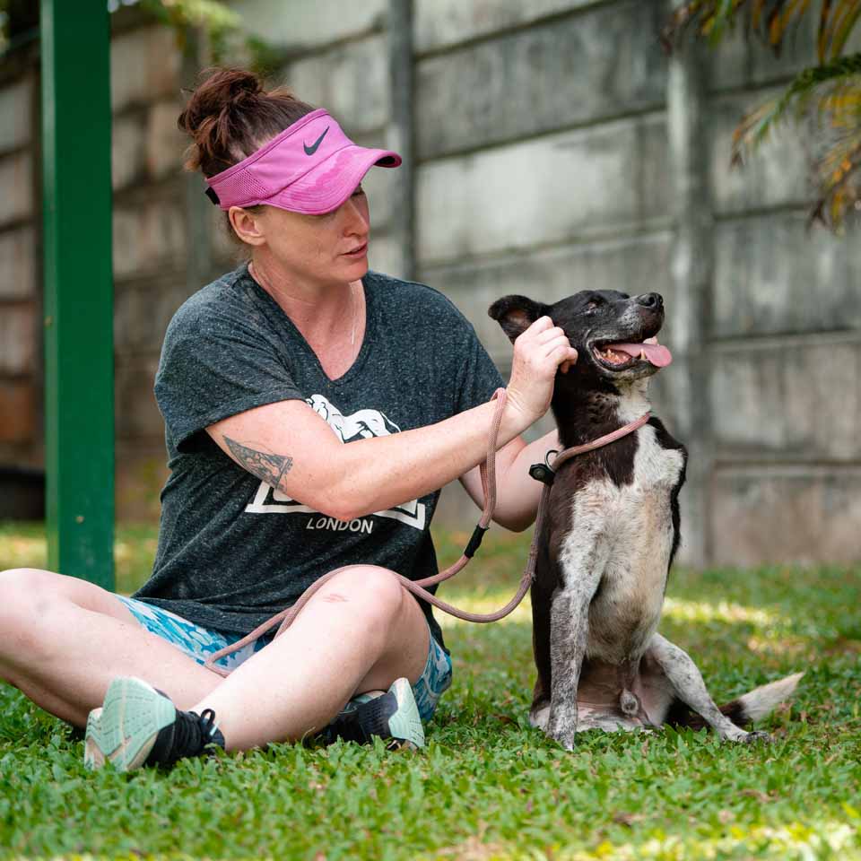 Adopt Tonie | Soi Dog Foundation