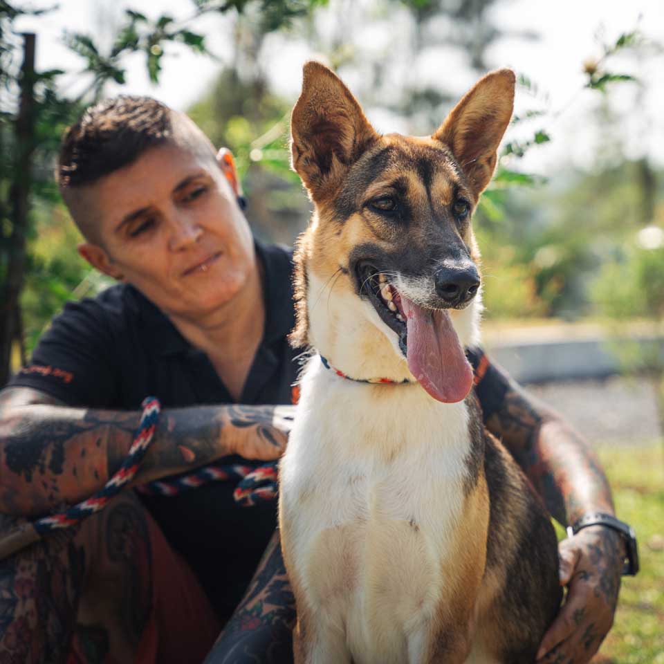 Adopt Auretta | Soi Dog Foundation