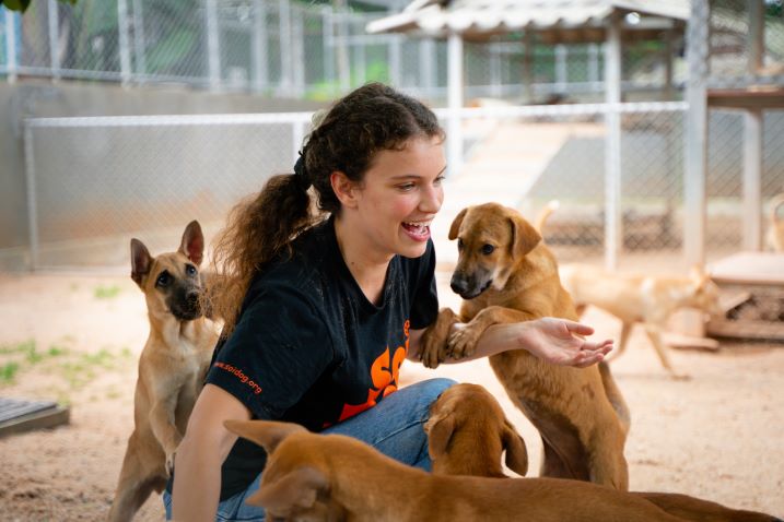 Visit Us | Soi Dog Foundation