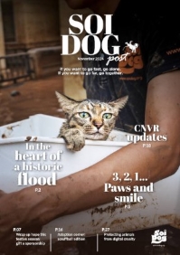 Homepage | Soi Dog Foundation